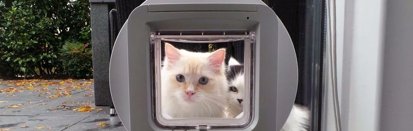 Kattenluik in glas | Complete installatie | GlasTeam